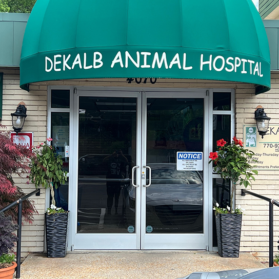 Veterinary Care - DeKalb Animal Hospital