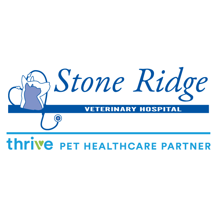 Stone Ridge Veterinary Hospital | Thrive Pet Healthcare