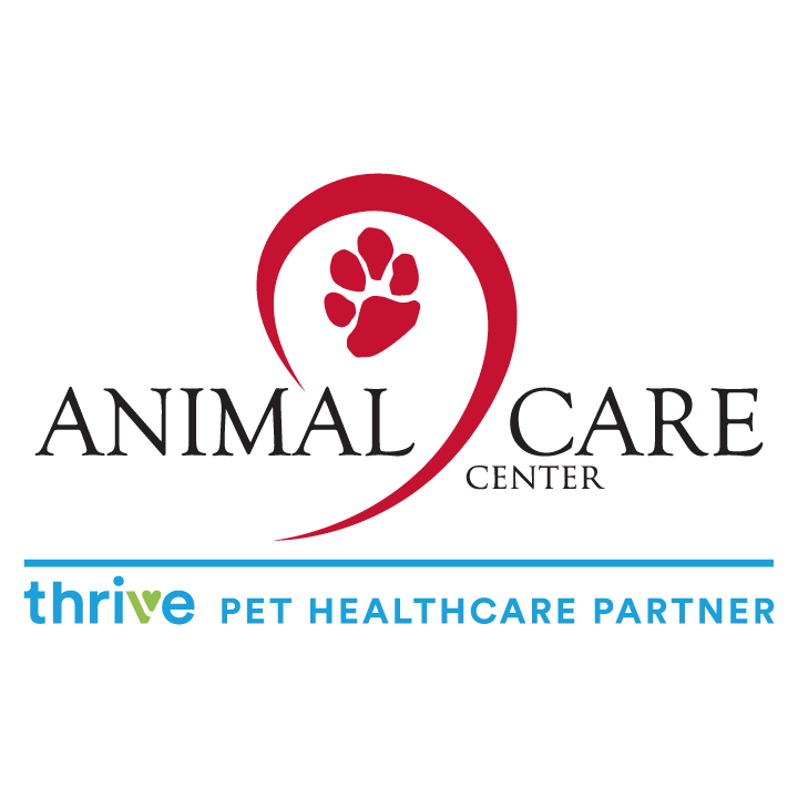 Veterinary Care West Bountiful | Animal Care Center