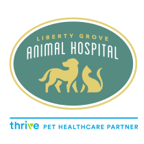 Veterinarian Rowlett | Liberty Grove Animal Hospital
