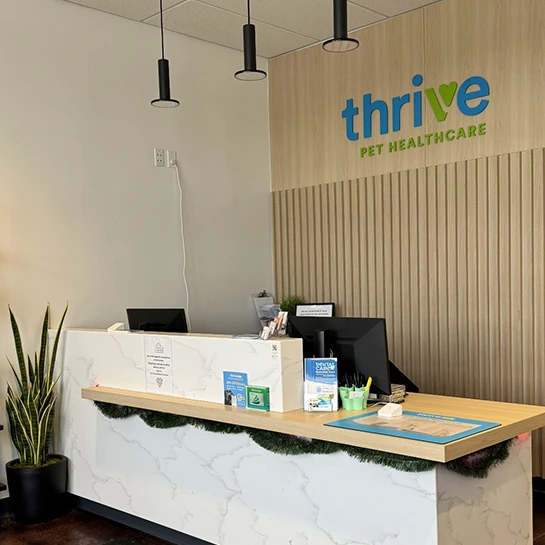 Frederick MD Veterinarian | Thrive Pet Healthcare