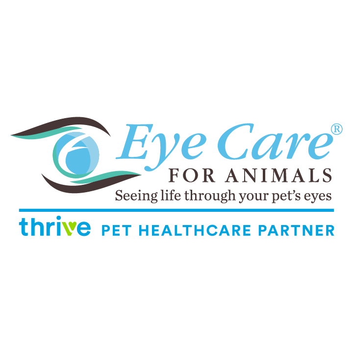 Veterinary Ophthalmology | Eye Care for Animals