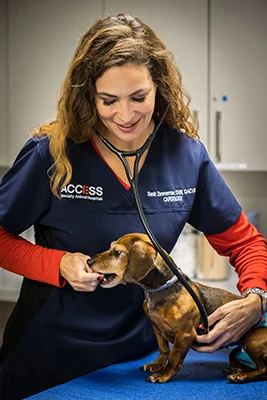 Emergency Vet Torrance, CA | ACCESS Specialty Animal Hospitals