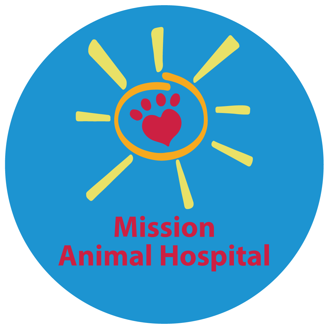Mission Animal Hospital | Thrive Pet Healthcare