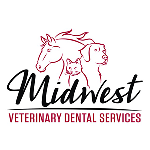 Pet Dental Care Elkhorn WI | Midwest Veterinary Dental Services