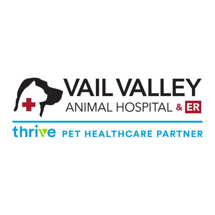 Vail Valley Animal Hospitals - Edwards