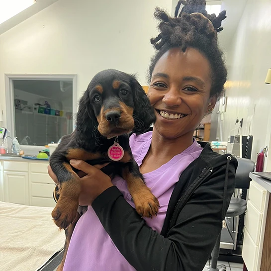 Falls Road Veterinary Hospital | Thrive Pet Healthcare