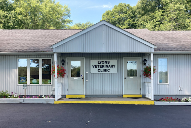 Veterinarian for Dogs & Cats Lyons, NY | Lyons Veterinary Clinic