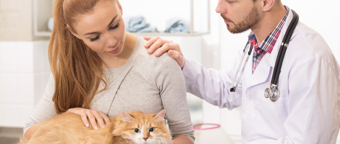 What to Know About Pet Euthanasia | Thrive Pet Healthcare