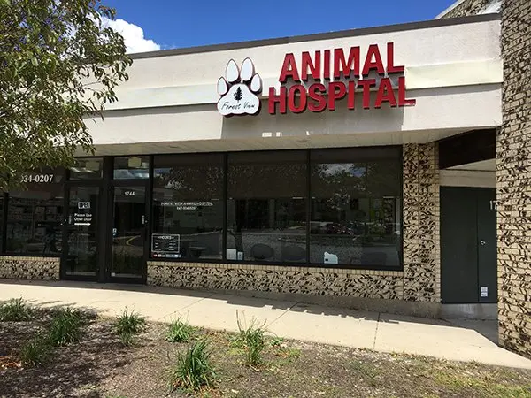 Forest View Animal Hospital | Thrive Pet Healthcare