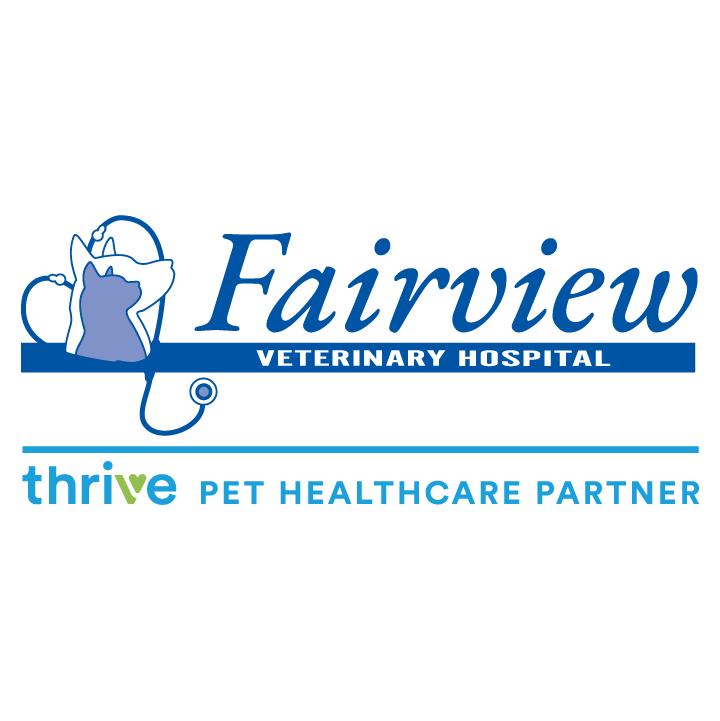 Fairview Veterinary Hospital | Thrive Pet Healthcare