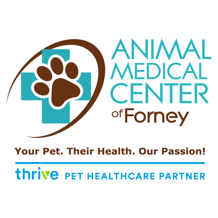 Veterinarian Forney, TX | Animal Medical Center of Forney