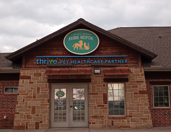 Veterinarian Rowlett | Liberty Grove Animal Hospital