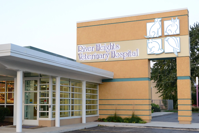 River Heights Veterinary Hospital | Thrive Pet Healthcare