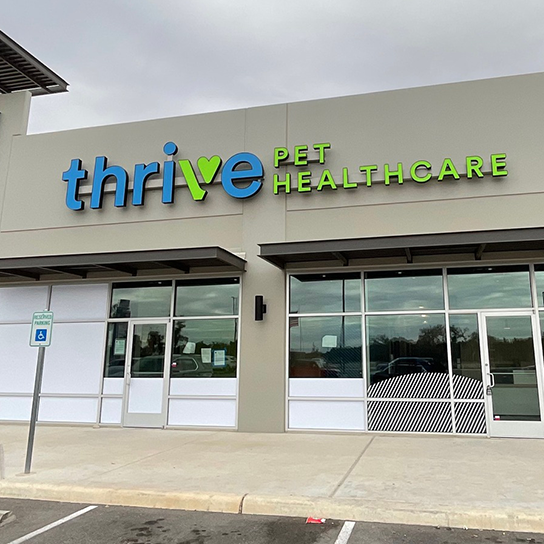 San Antonio Veterinarian | Thrive Pet Healthcare - Alamo Ranch