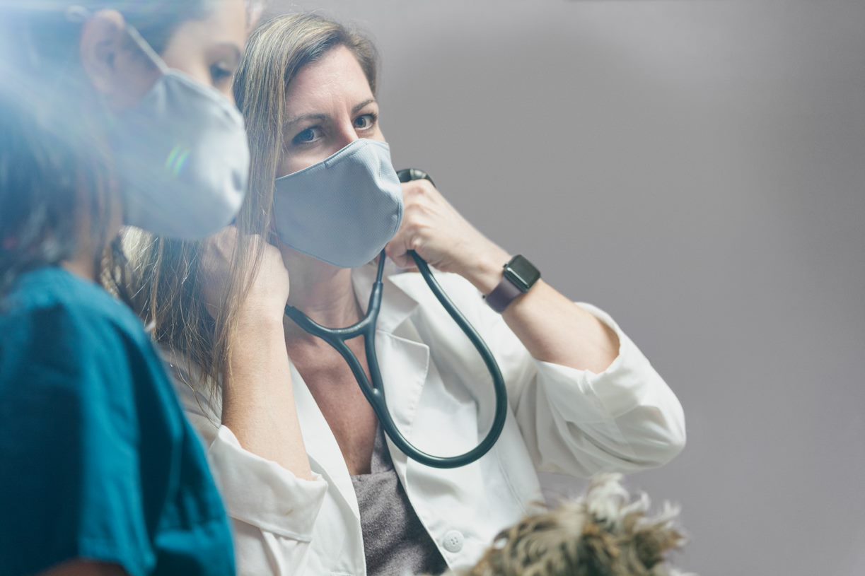 Veterinary Diagnostic Testing | Thrive Pet Healthcare