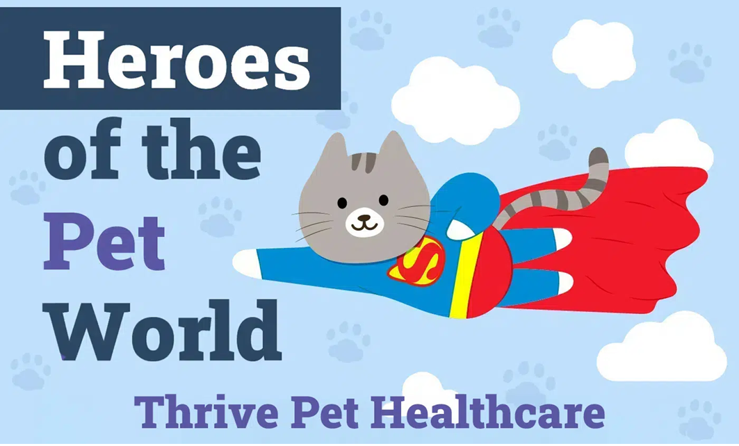 Catster Feature: Thrive Pet Healthcare - Heroes of the Pet World