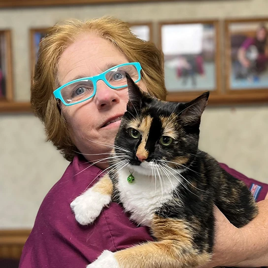 Main Street Animal Hospital | Thrive Pet Healthcare