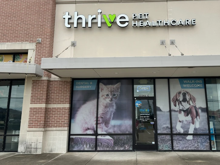 Veterinarian Houston Near Me | Thrive Pet Healthcare
