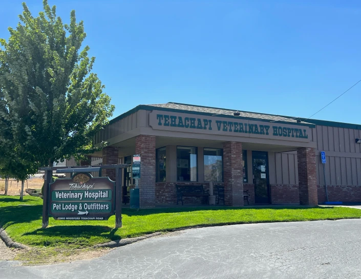 Tehachapi Veterinary Hospital | Thrive Pet Healthcare
