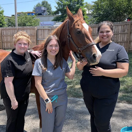 Wedgewood-Houston Vet Care | Thrive Pet Healthcare