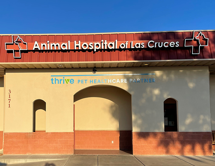 Veterinarian Las Cruces | Animal Hospital of Las Cruces
