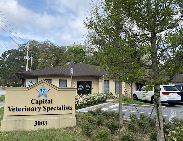24/7 ER Vet Jacksonville | Capital Veterinary Specialists, Jax