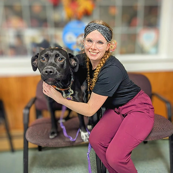 Main Street Animal Hospital | Thrive Pet Healthcare