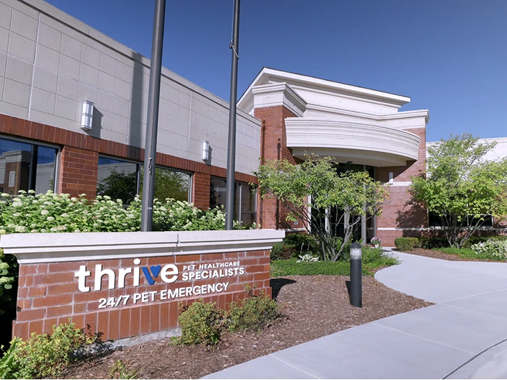 ER & Specialty Veterinarian | Thrive Pet Healthcare Specialists