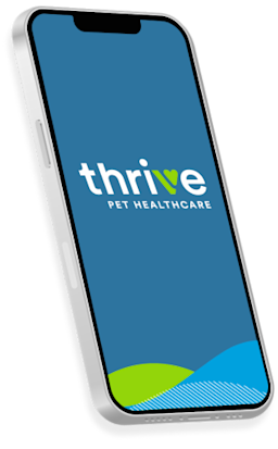 Round Rock Vet Care for Dogs & Cats | Thrive Pet Healthcare