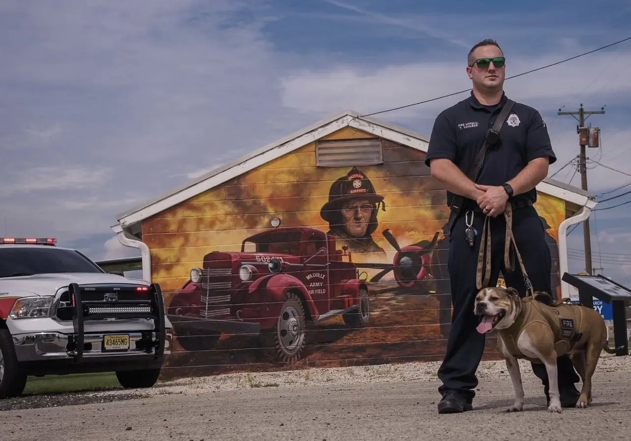 Honoring K-9 Veterans: A Salute to Brave Service