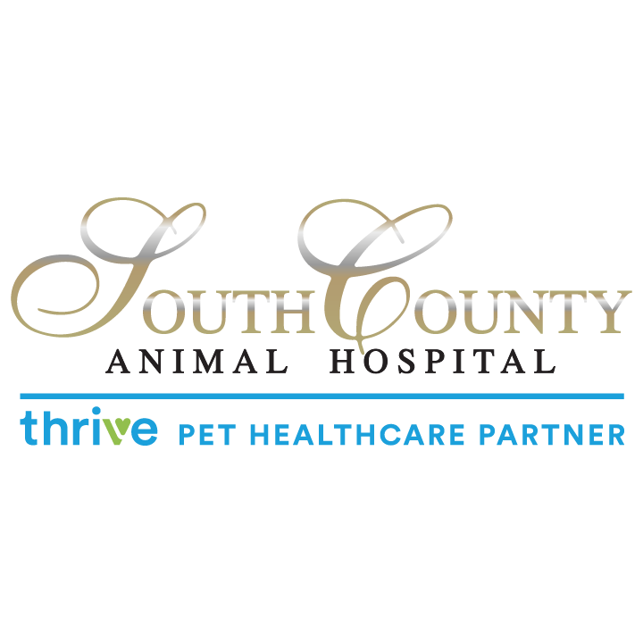 South County Animal Hospital | Vet Care Greenwood Arkansas