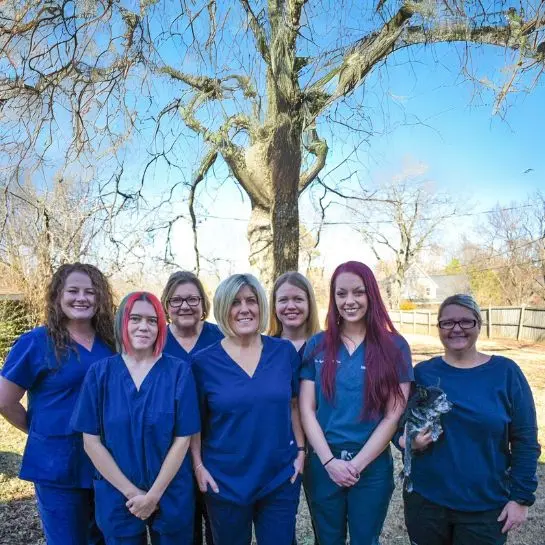 Farmington Veterinary Clinic | Thrive Pet Healthcare