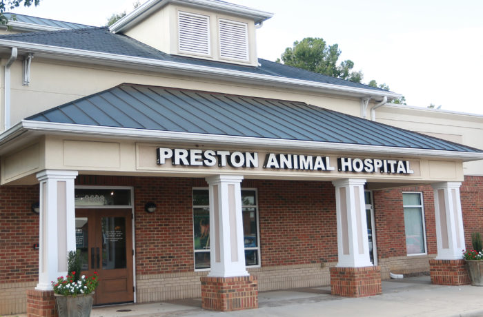 Preston Animal Hospital | Thrive Pet Healthcare