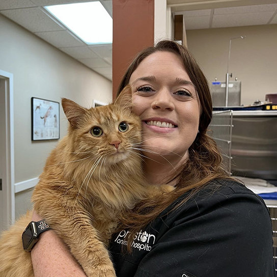 Veterinarian Morrisville, NC | Preston Animal Hospital