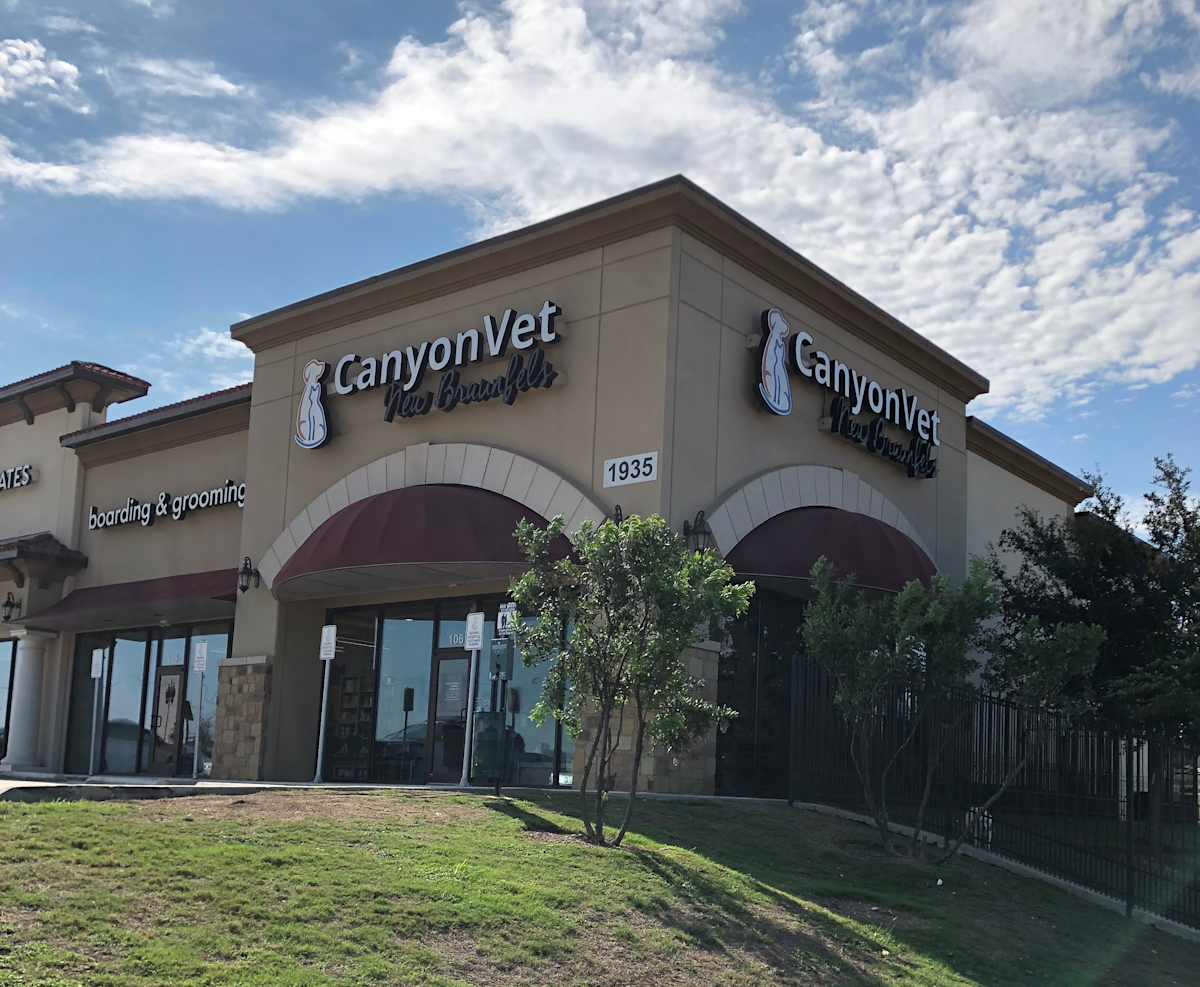 New Braunfels Veterinarian | CanyonVet New Braunfels