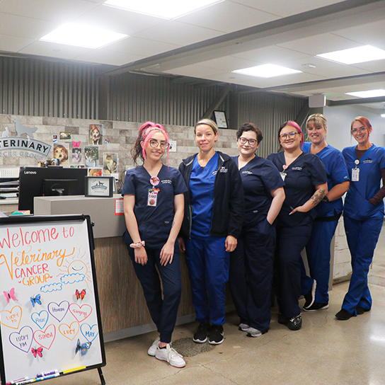 Veterinary Cancer Group South Bay | Thrive Pet Healthcare