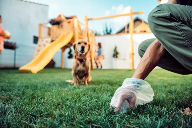 Thrive Pet Healthcare