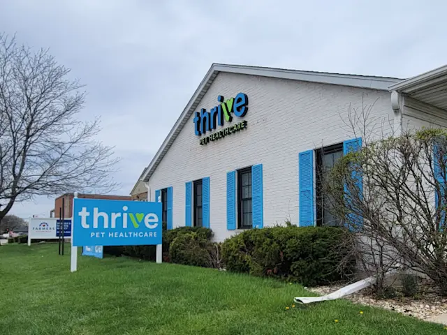 Elmhurst Veterinarian | Thrive Pet Healthcare
