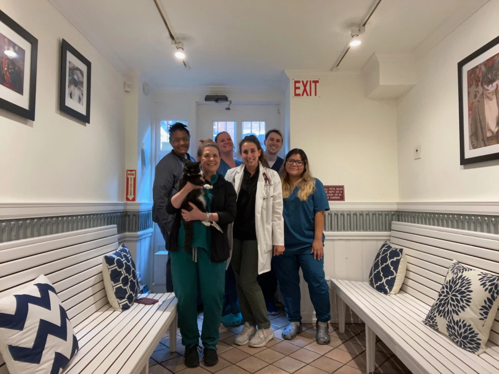 Lessons from an Extern: 5 Things I Learned Shadowing a Vet Clinic
