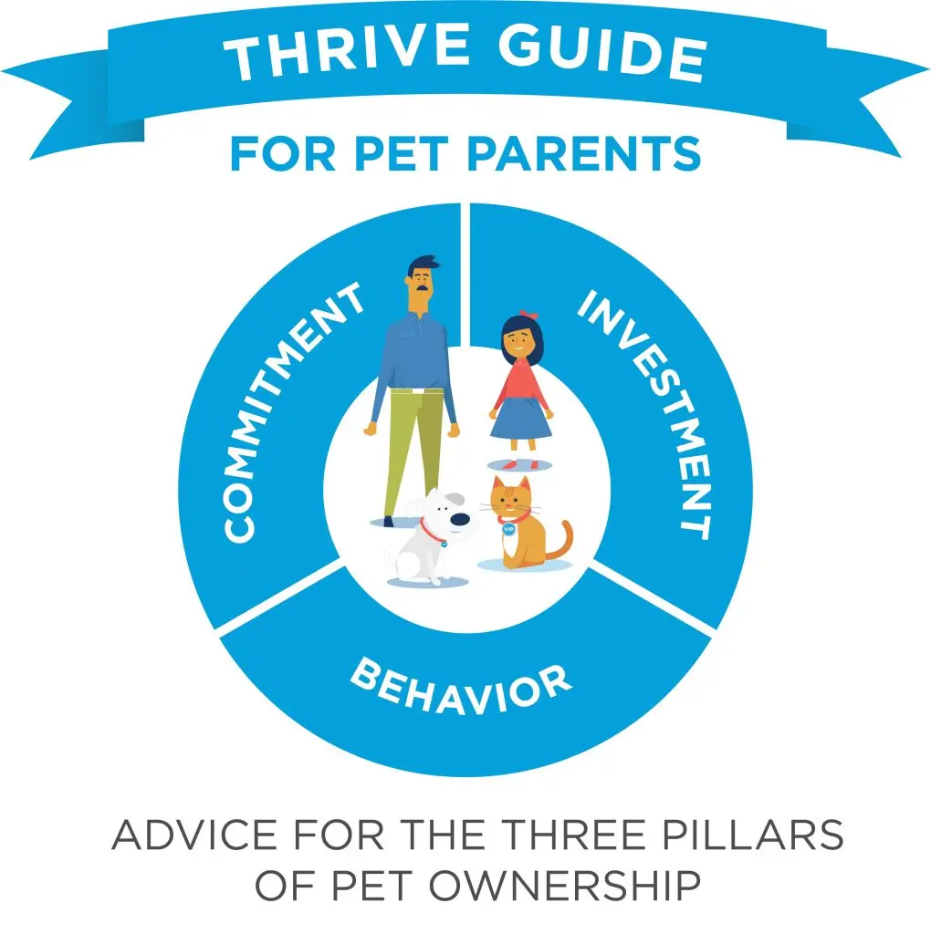 What does it cost to own a pet? | Thrive Pet Healthcare