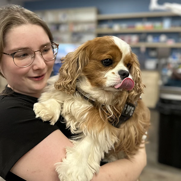 Veterinarian Decatur, GA | Thrive Pet Healthcare Decatur