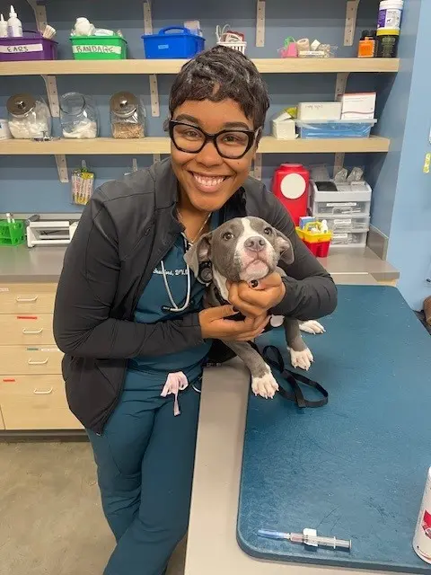 Veterinarian Decatur, GA | Thrive Pet Healthcare Decatur