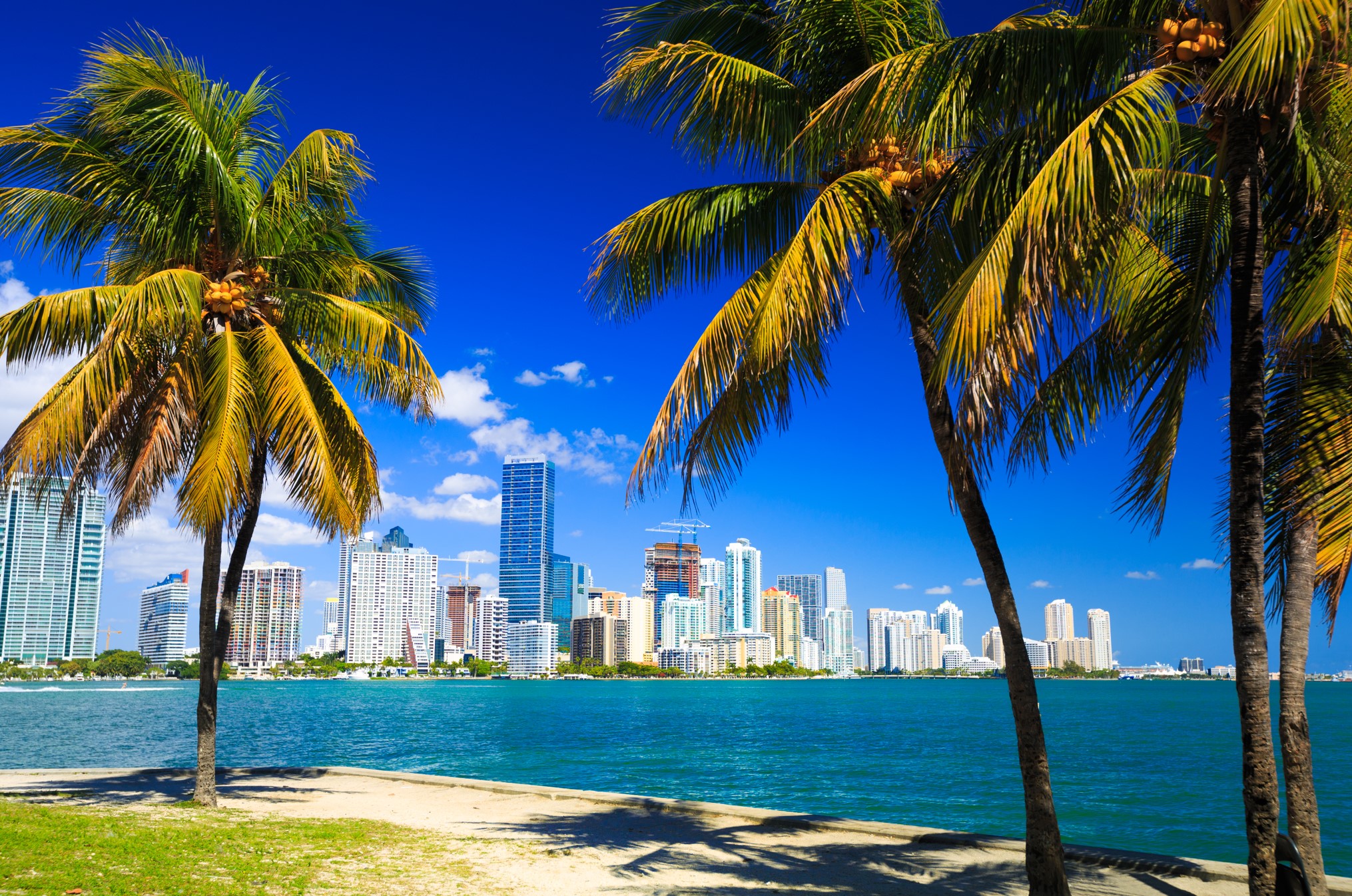 ARGUS Software - Commercial Real Estate Software | Altus Group