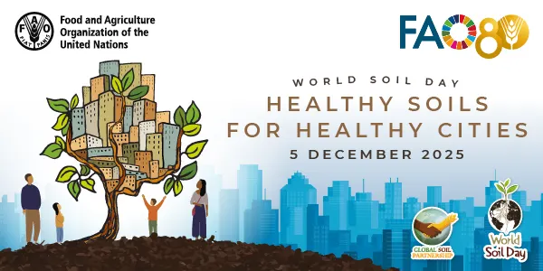 World Soil Day – spotlight on the importance of healthy soils | Ísland.is