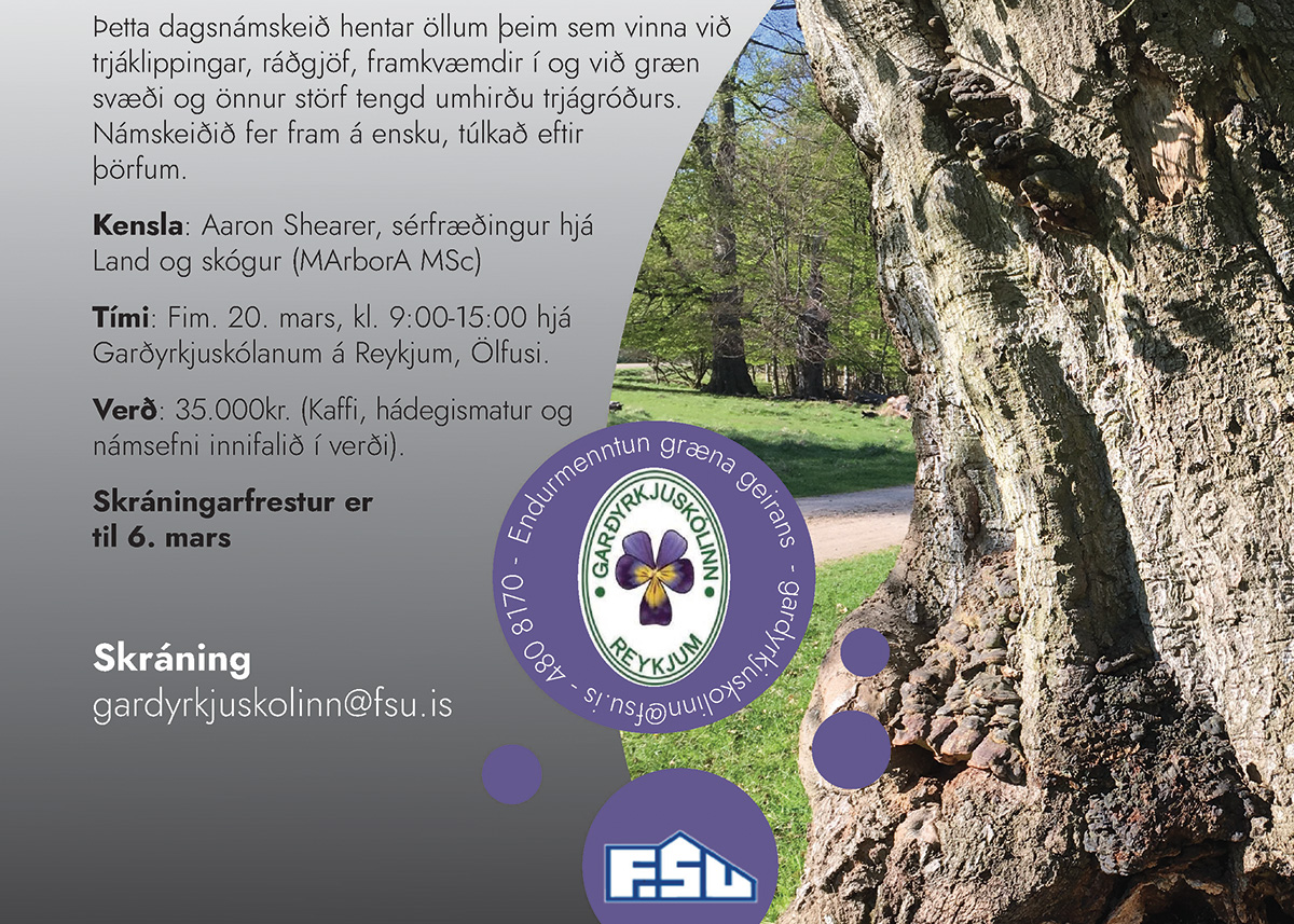 Risk assessment of trees - seminar at the Green Sector Training Centre | Land and Forest Iceland