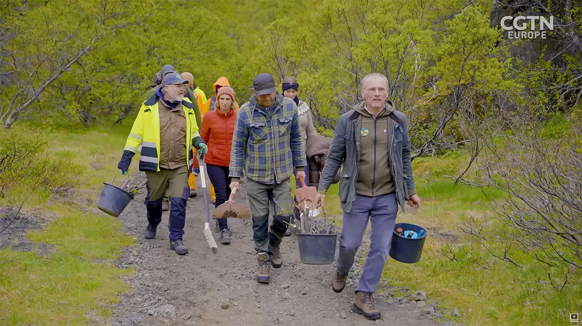 How to grow forests in a treeless land | Land and Forest Iceland