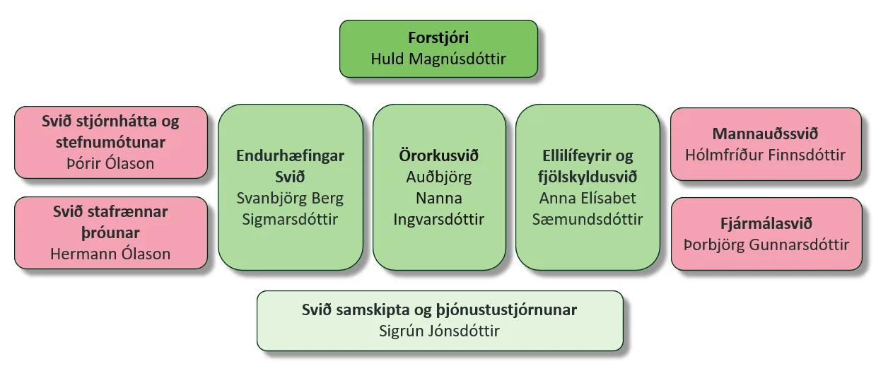 Skipulag og stjórnendur | Tryggingastofnun
