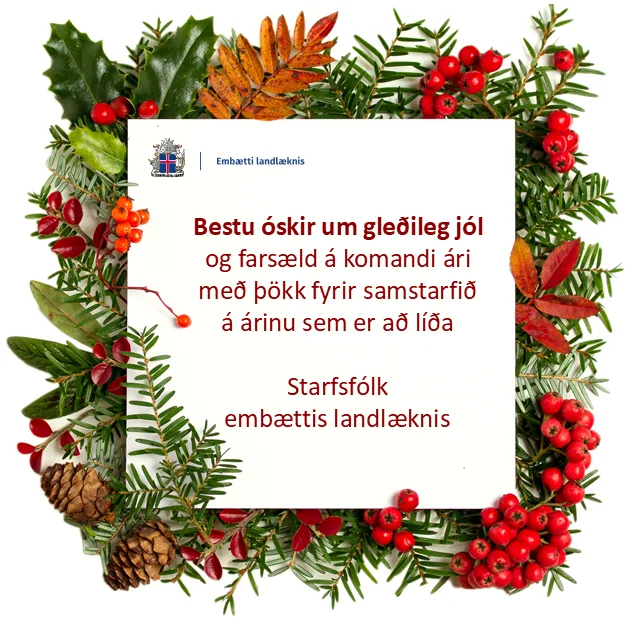 Hátíðarkveðja 2025 | Ísland.is
