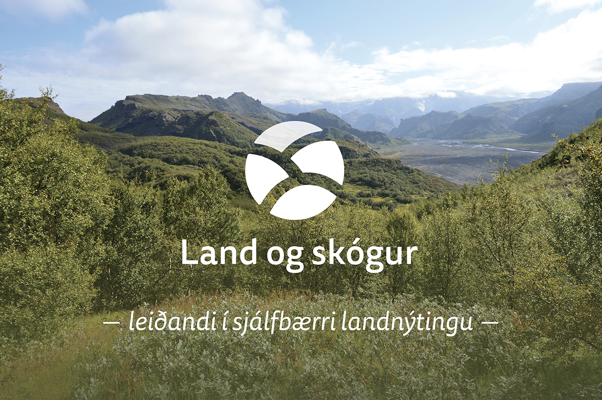 Organisation chart and divisions | Land and Forest Iceland
